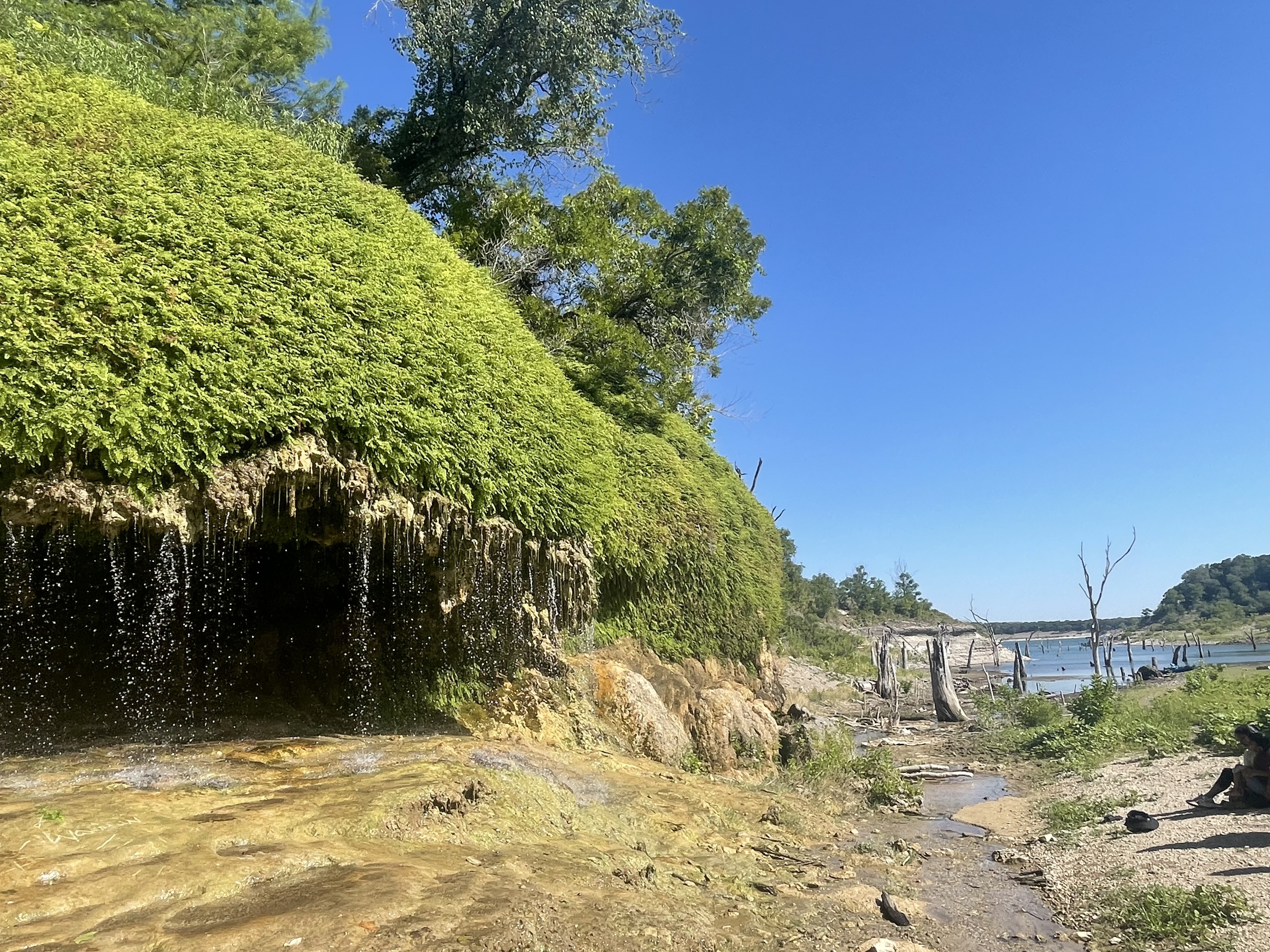 Crockett Gardens waterfall takes a tumble | Williamson County Sun