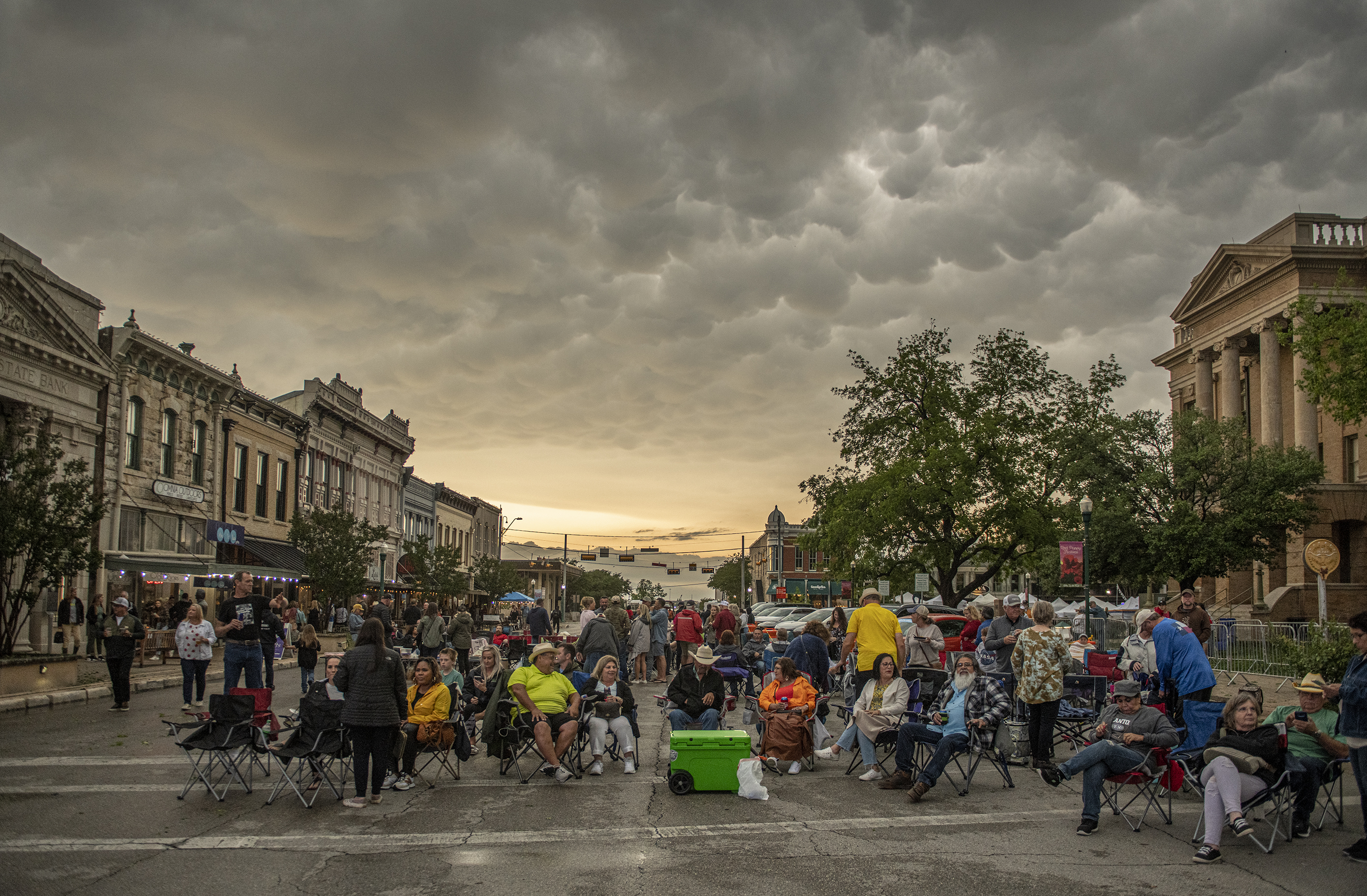 Photos: Poppy Fest Blossoms, Rain Or Shine | Williamson County Sun