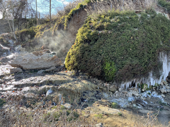 Crockett Gardens waterfall takes a tumble | Williamson County Sun