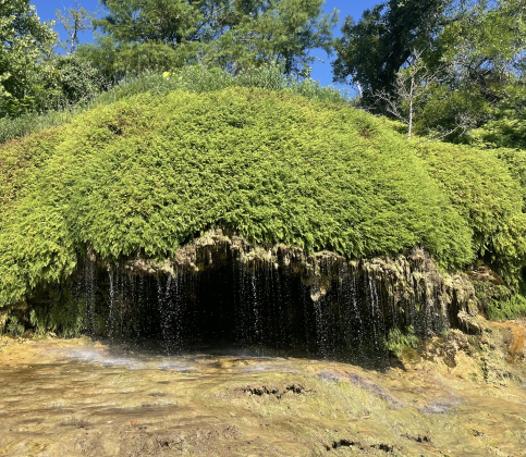 Crockett Gardens waterfall takes a tumble | Williamson County Sun