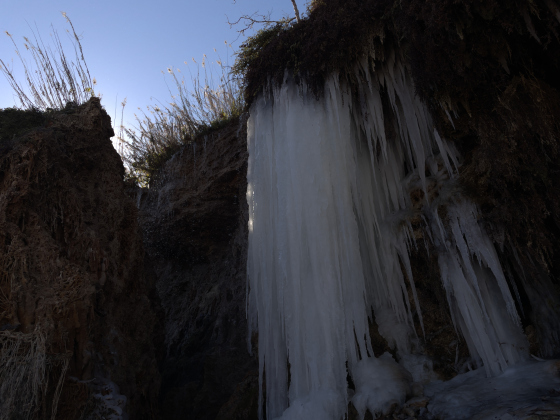 Crockett Gardens waterfall takes a tumble | Williamson County Sun